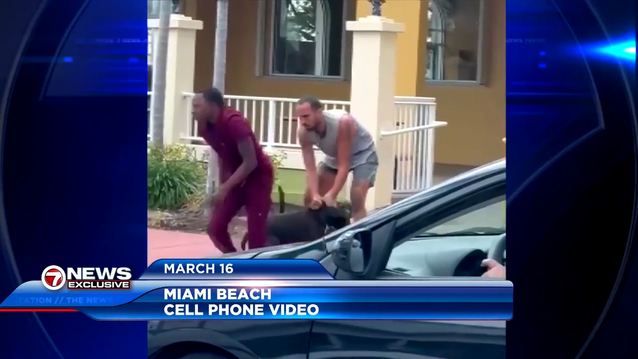 Man strikes victim with Corvette after fight breaks out on South Beach ...