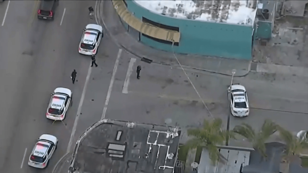 Elderly Woman Rushed To Hospital After Hit And Run In Miami Wsvn