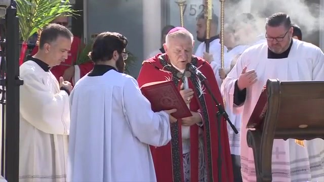 Archbishop Wenski officiates Palm Sunday Mass in Miami - WSVN 7News ...