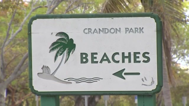 Swimming advisory issued due to fecal pollution at Crandon Park Beach ...