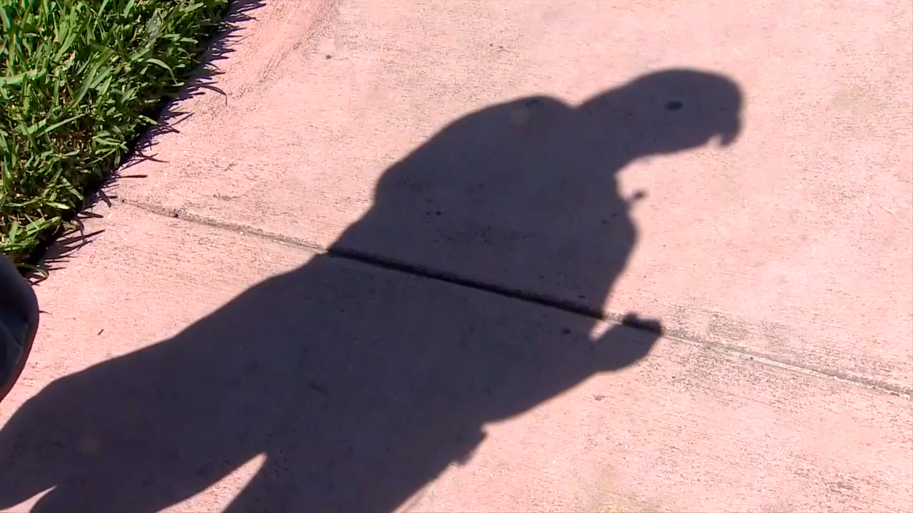 Victim speaks out after being beaten and mugged of purse in South Beach ...