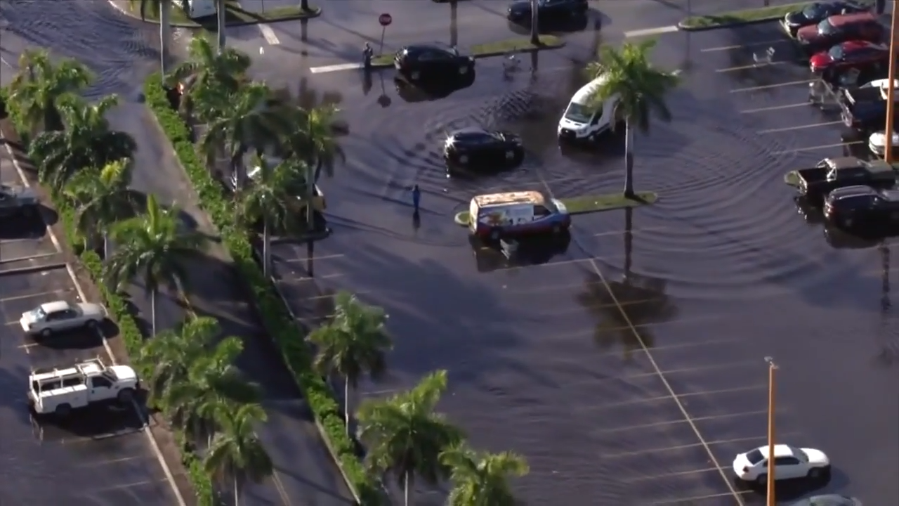 Heavy rainfall floods parking lot of SW Miami-Dade shopping plaza ...