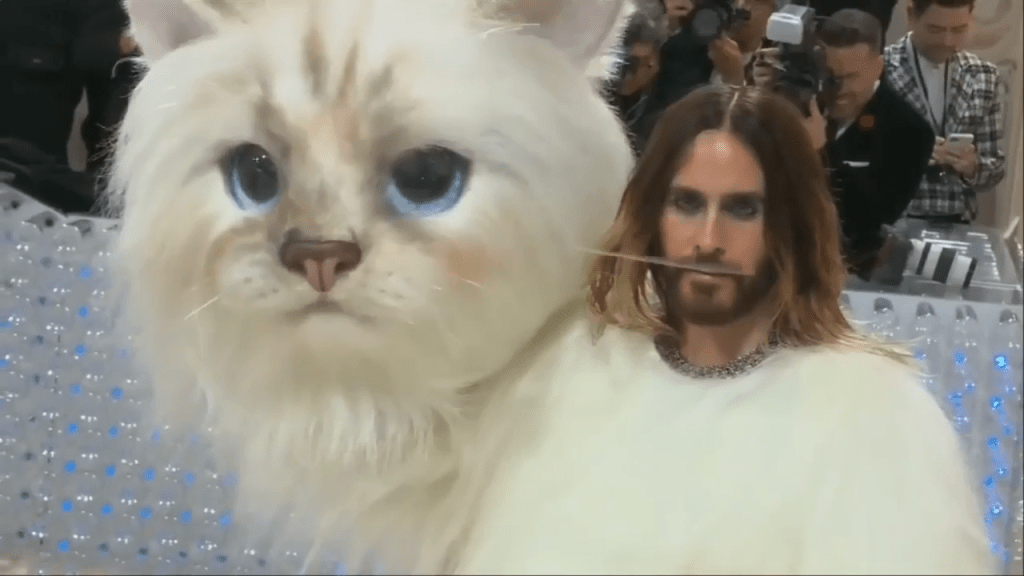 Inside the Met Gala: A furry feline star, a tardy Cinderella – WSVN ...