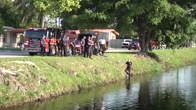 Driver hospitalized after car goes into Hialeah canal - WSVN 7News ...