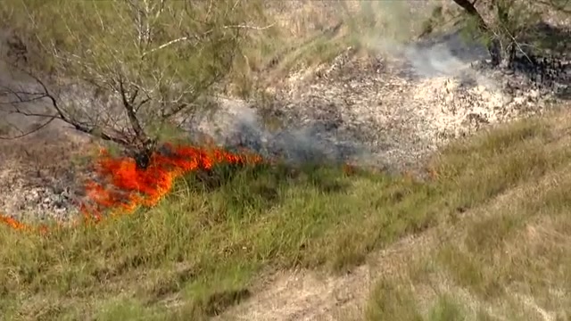 Crews work to put out brush fire in Florida City; 75% contained - WSVN ...