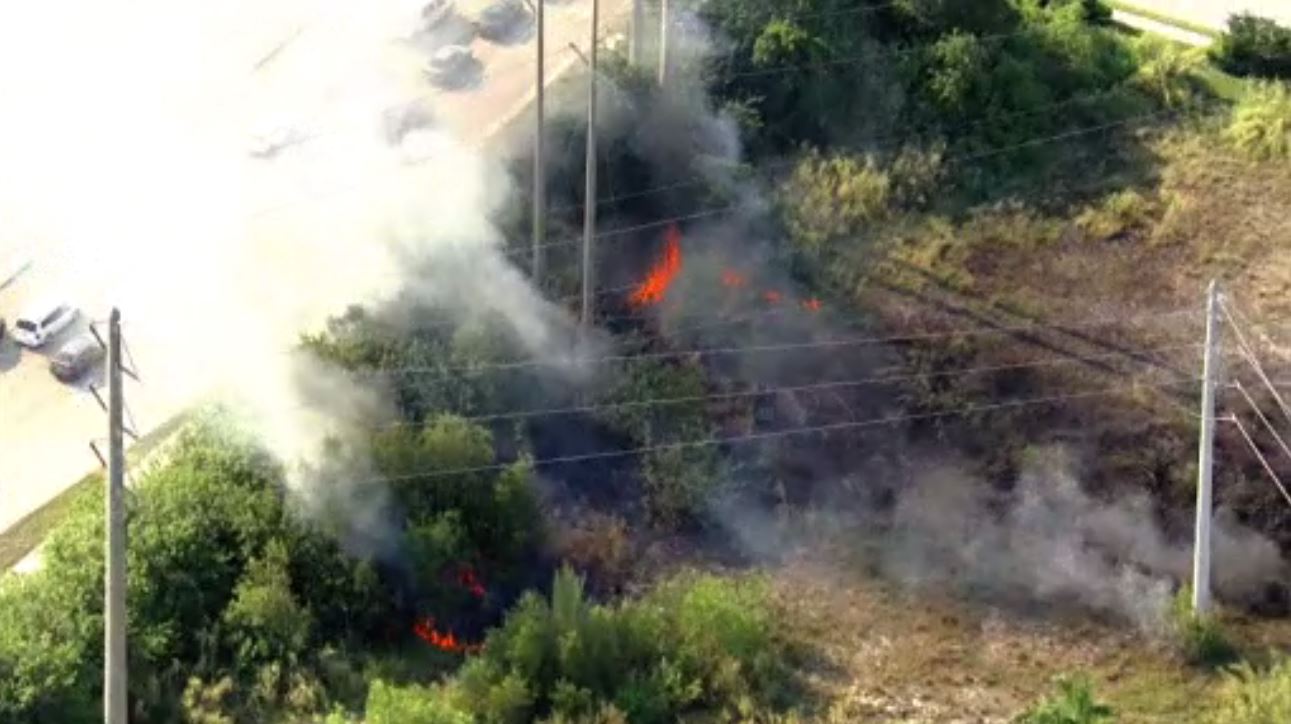 Crews put out small brush fire in Miramar - WSVN 7News | Miami News ...
