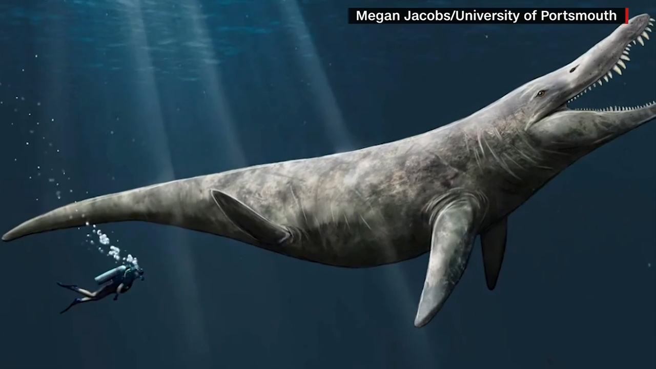 Size of a Jurassic sea giant found due to fossil discovery, study says ...
