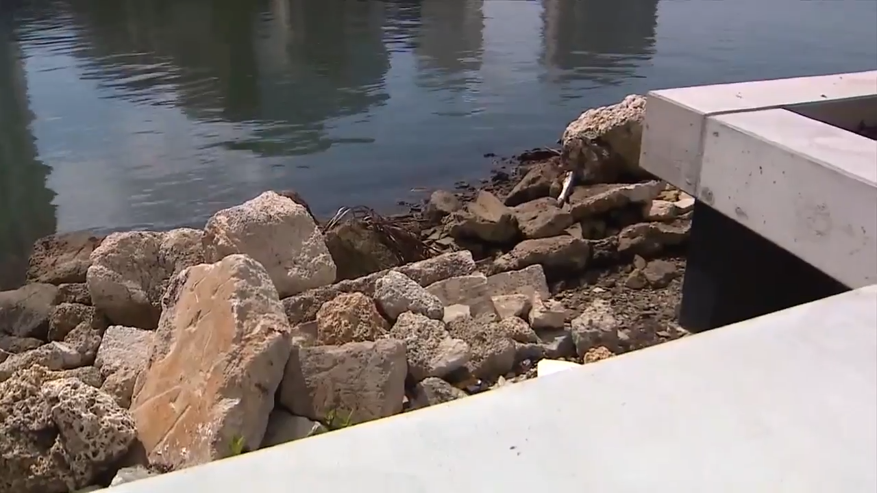 City of Miami completes 250-foot seawall in Brickell, unveils new ...