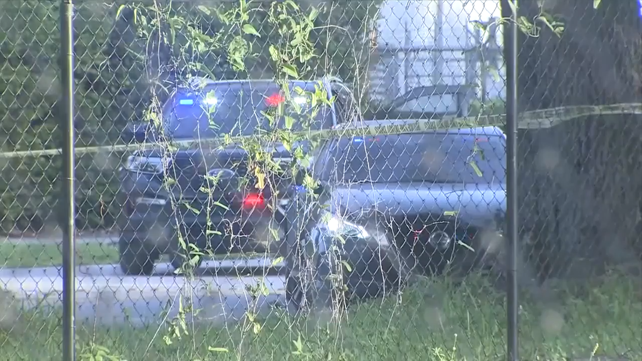 Police apprehend suspected car thief after perimeter established in ...