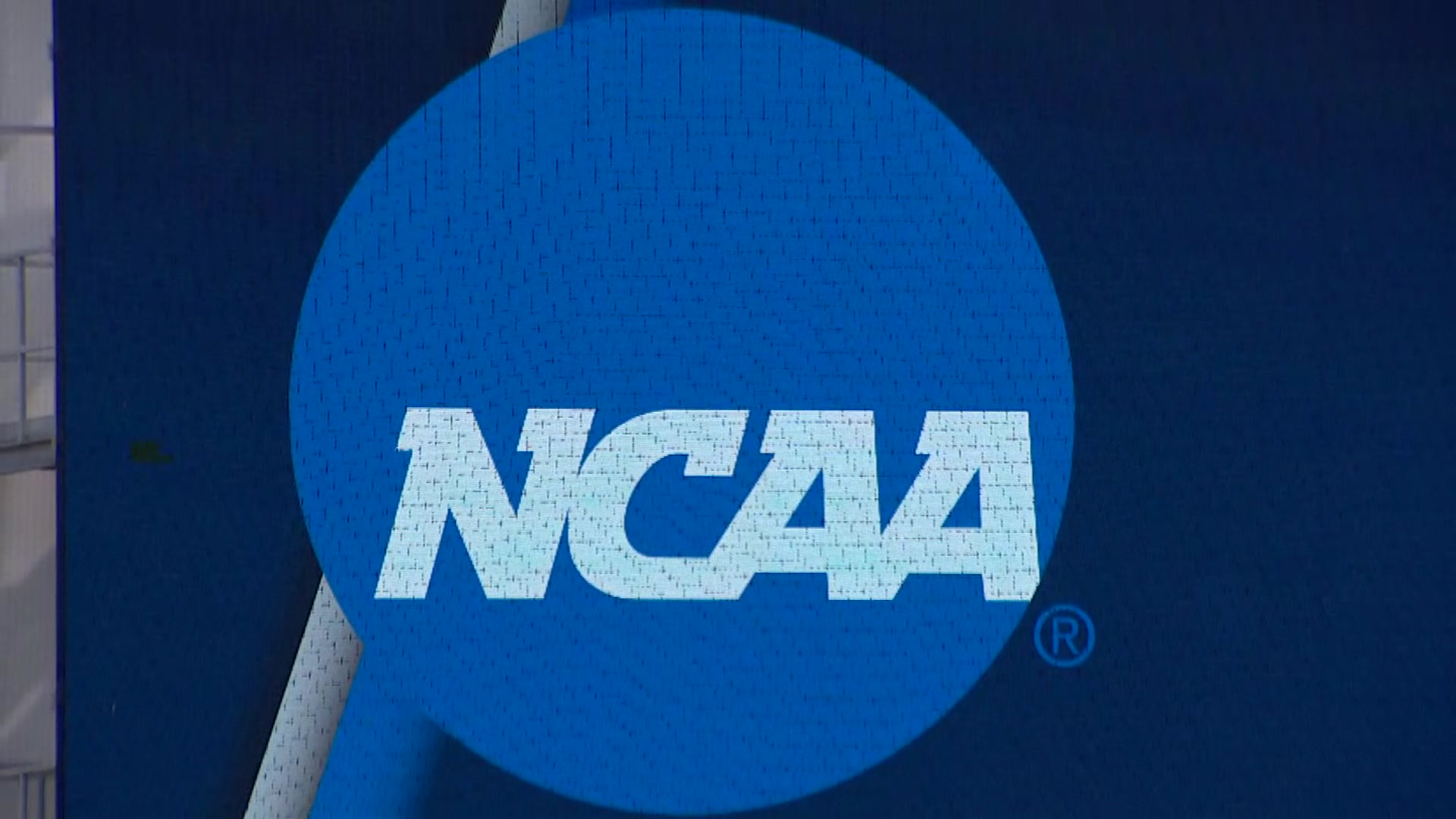 230601 GENERIC NCAA LOGO – WSVN 7News | Miami News, Weather, Sports ...