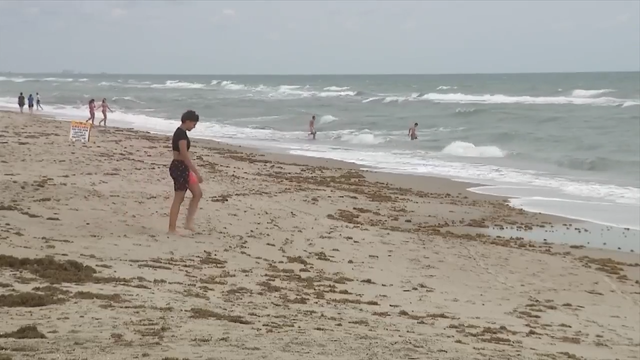 Flesh Eating Bacteria In Seaweed Growing Concern For Beachgoers And