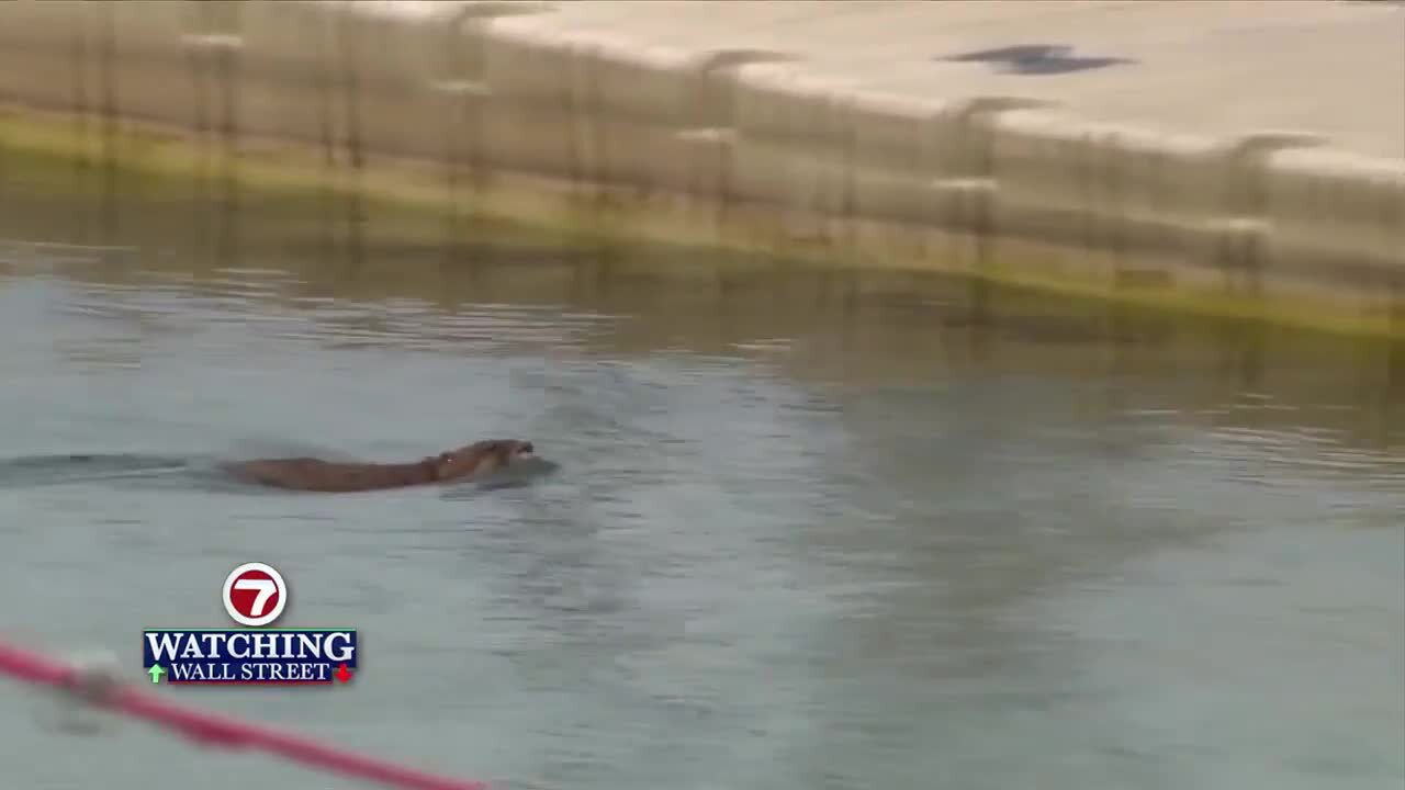 Study highlights staggering costs to remove chemicals wastewater ...