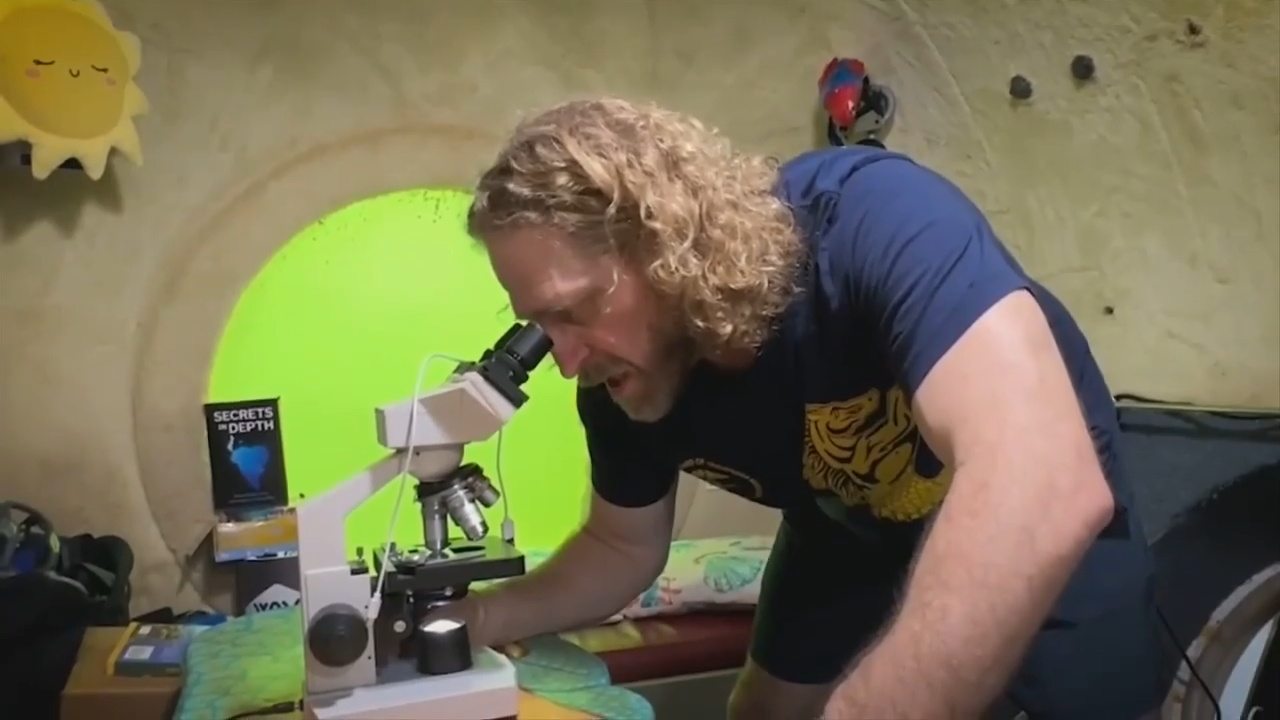 USF professor breaks world record for living underwater for 100 days ...