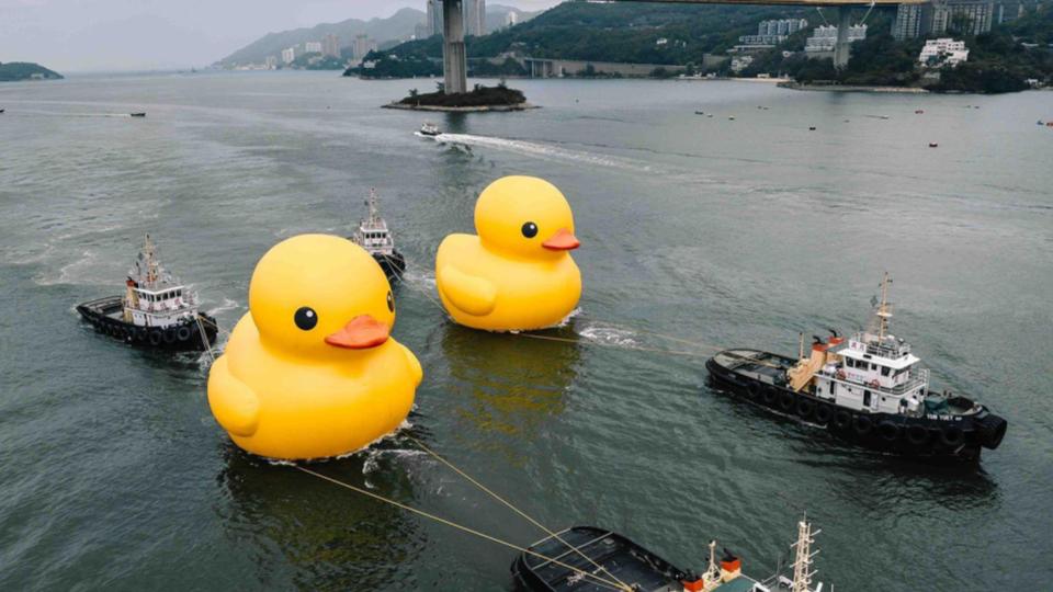 Hong Kong’s famous rubber duck returns — and now there are two - WSVN ...