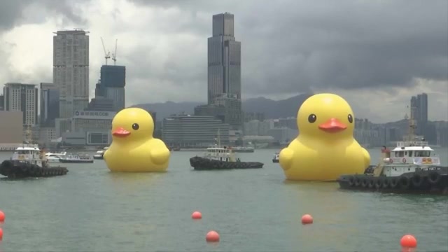 Giant inflatable ducks make a splash in Hong Kong as pop-art project ...