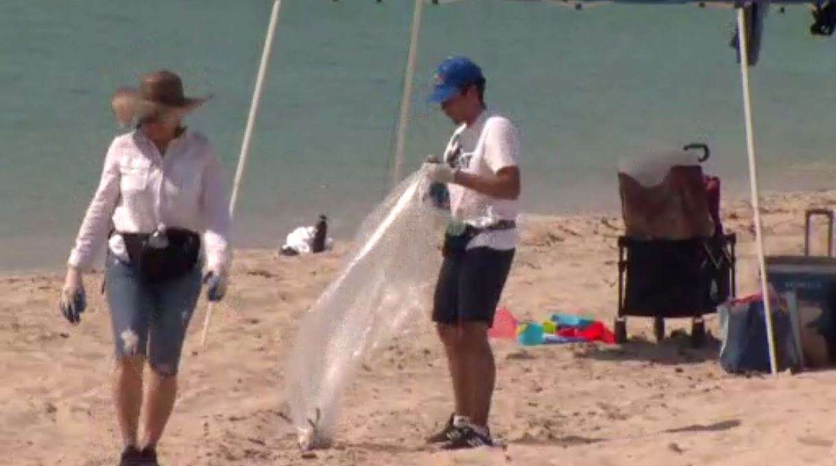 Miami-Dade’s Sea Turtle Conservation Program hosts beach cleanup at ...