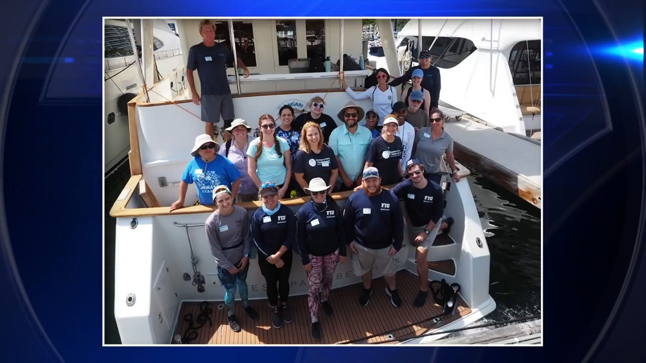 12 Miami-Dade teachers go on shark research expedition to enhance ...