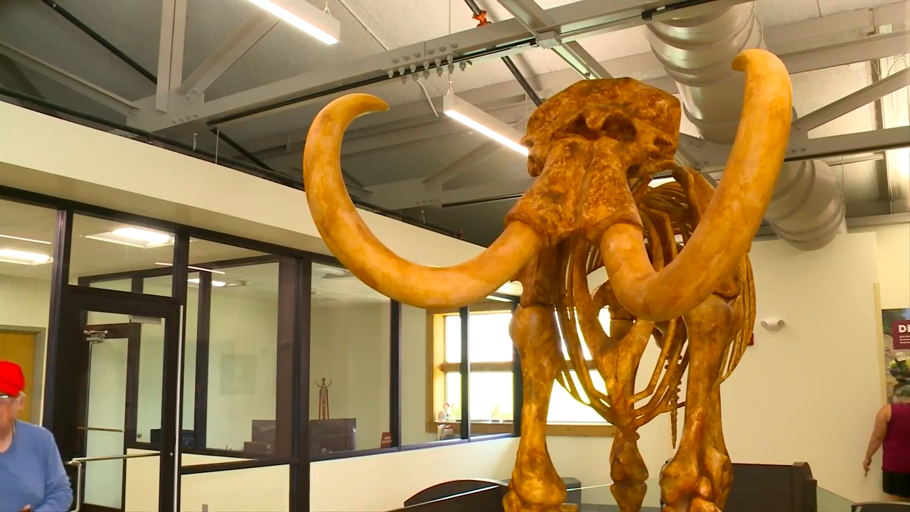 Out of the Ice Age: Replica woolly mammoth on display in Iowa - WSVN ...