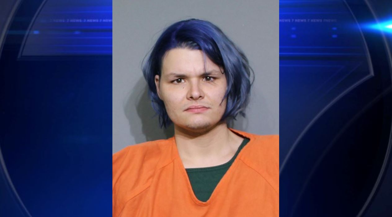 South Carolina man uses ‘spray-painted Nintendo Duck Hunt game pistol ...