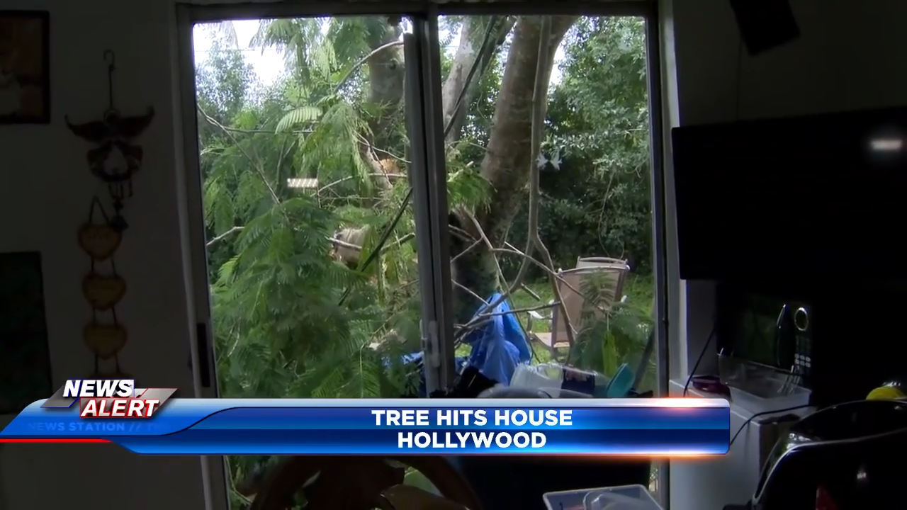 Tree falls into home in Hollywood; no injuries reported - WSVN 7News ...