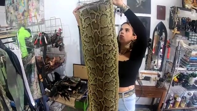 Fashion designer works with skin from invasive Everglades pythons to ...
