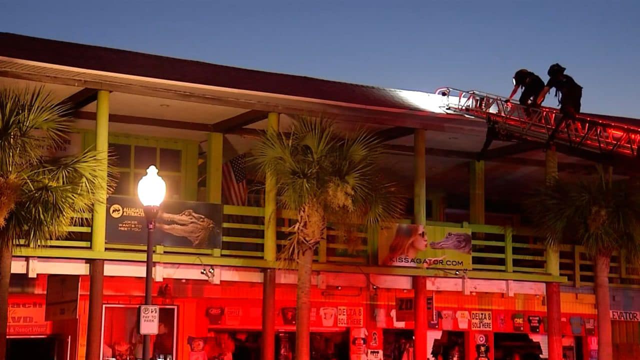 A fire killed nearly every animal at a Florida wildlife center - WSVN ...