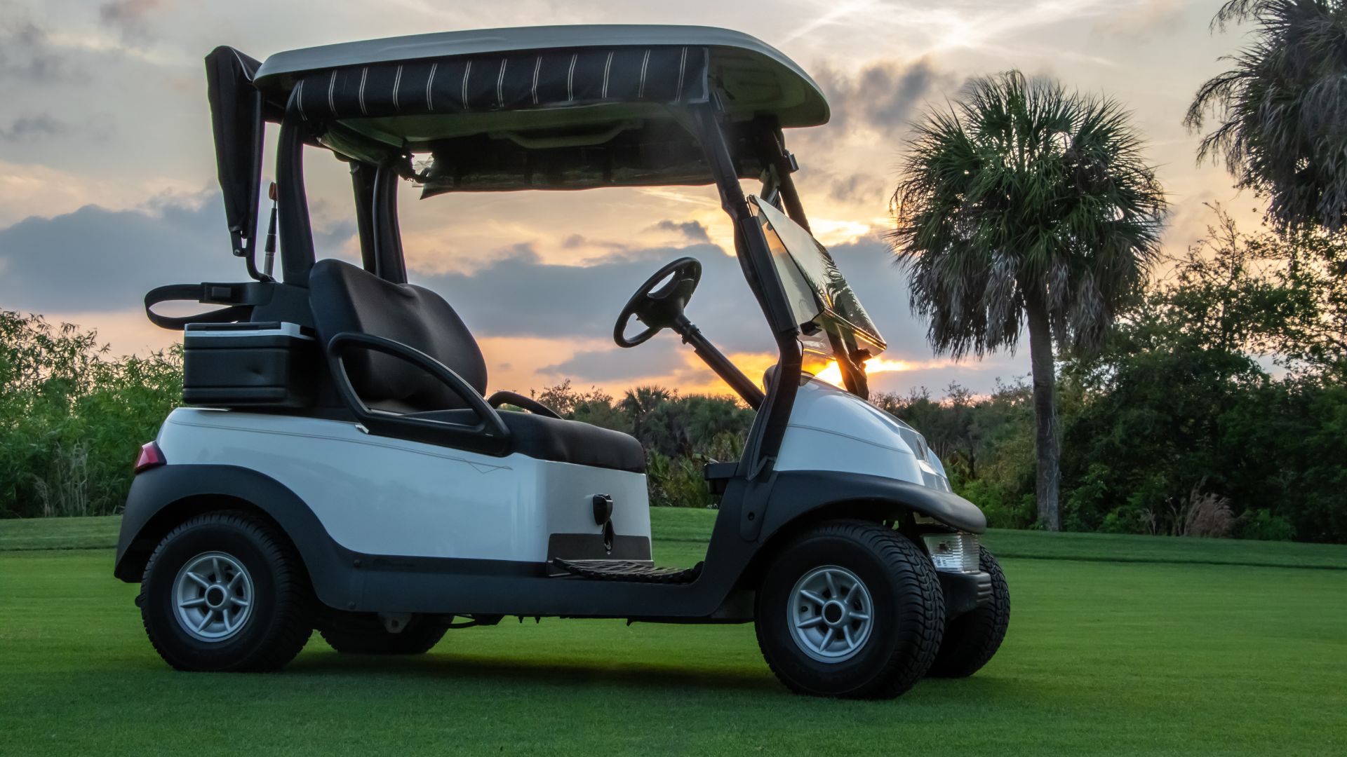 A 3-year-old driving a golf cart hit and killed a 7-year-old in Florida ...