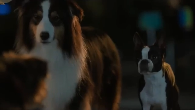 Jamie Foxx, Will Ferrell star as crazy canines in raunchy comedy ...