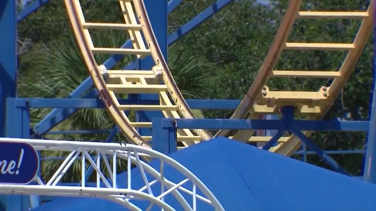 911 calls released after 6-year-old falls from roller coaster at theme ...