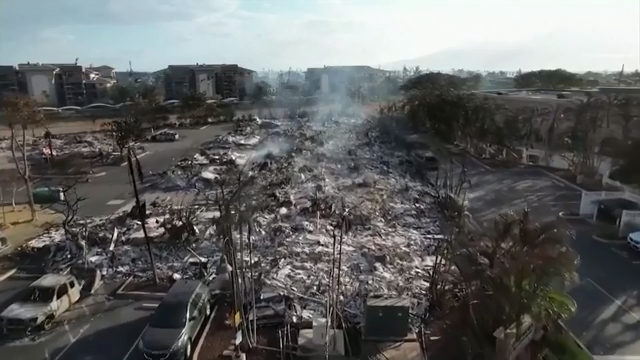 Death Toll From Devastating Maui Fire Reaches 101 Hawaii Governor Says Wsvn 7news Miami