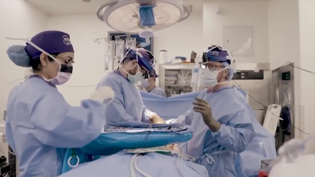 Two research teams detail advancements in transplanting pig kidneys to humans, marking key steps ...