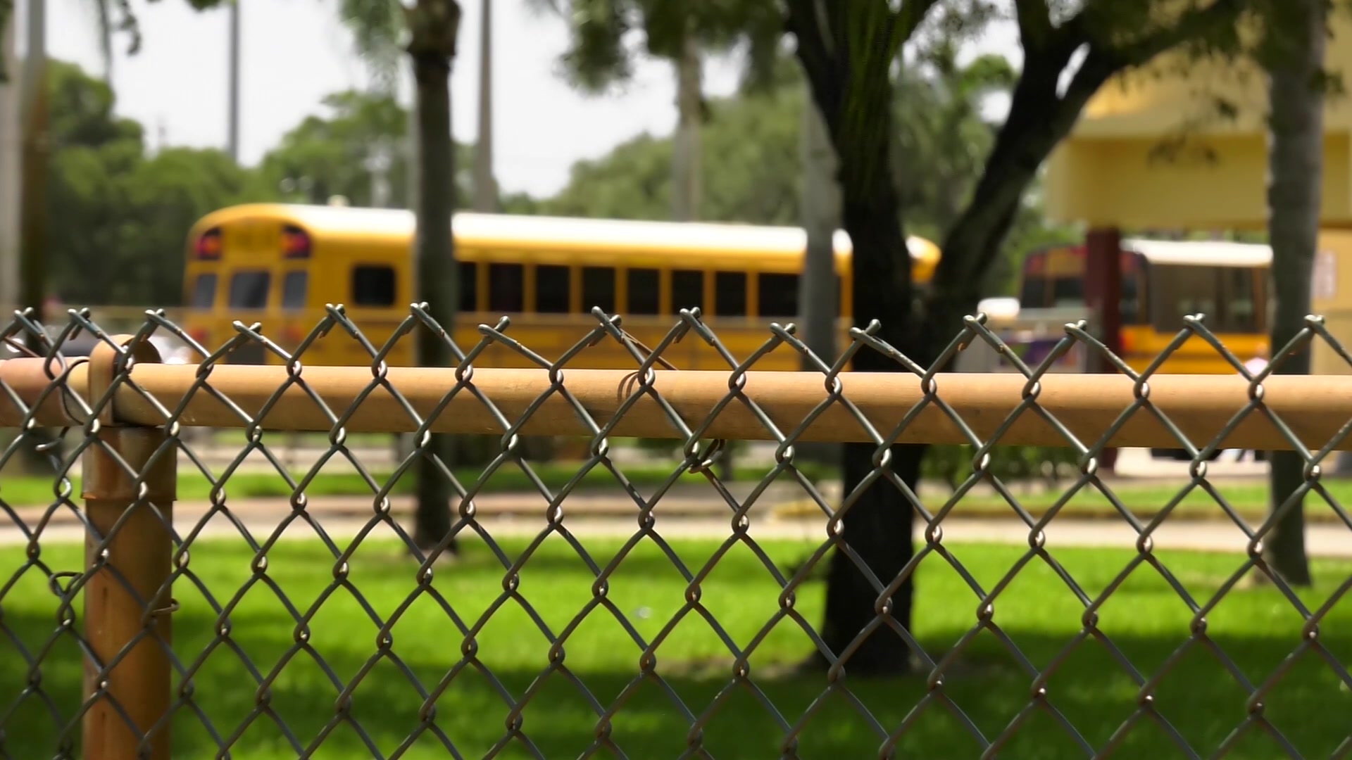 230822 GENERIC SCHOOL FENCE AND BUS – WSVN 7News | Miami News, Weather ...