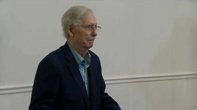 Senate GOP leader Mitch McConnell appears to freeze up again, this time ...