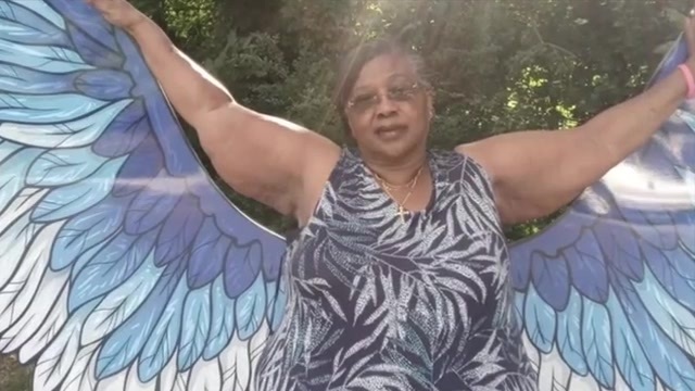 Family of woman killed in BSO helicopter crash files $50 million ...