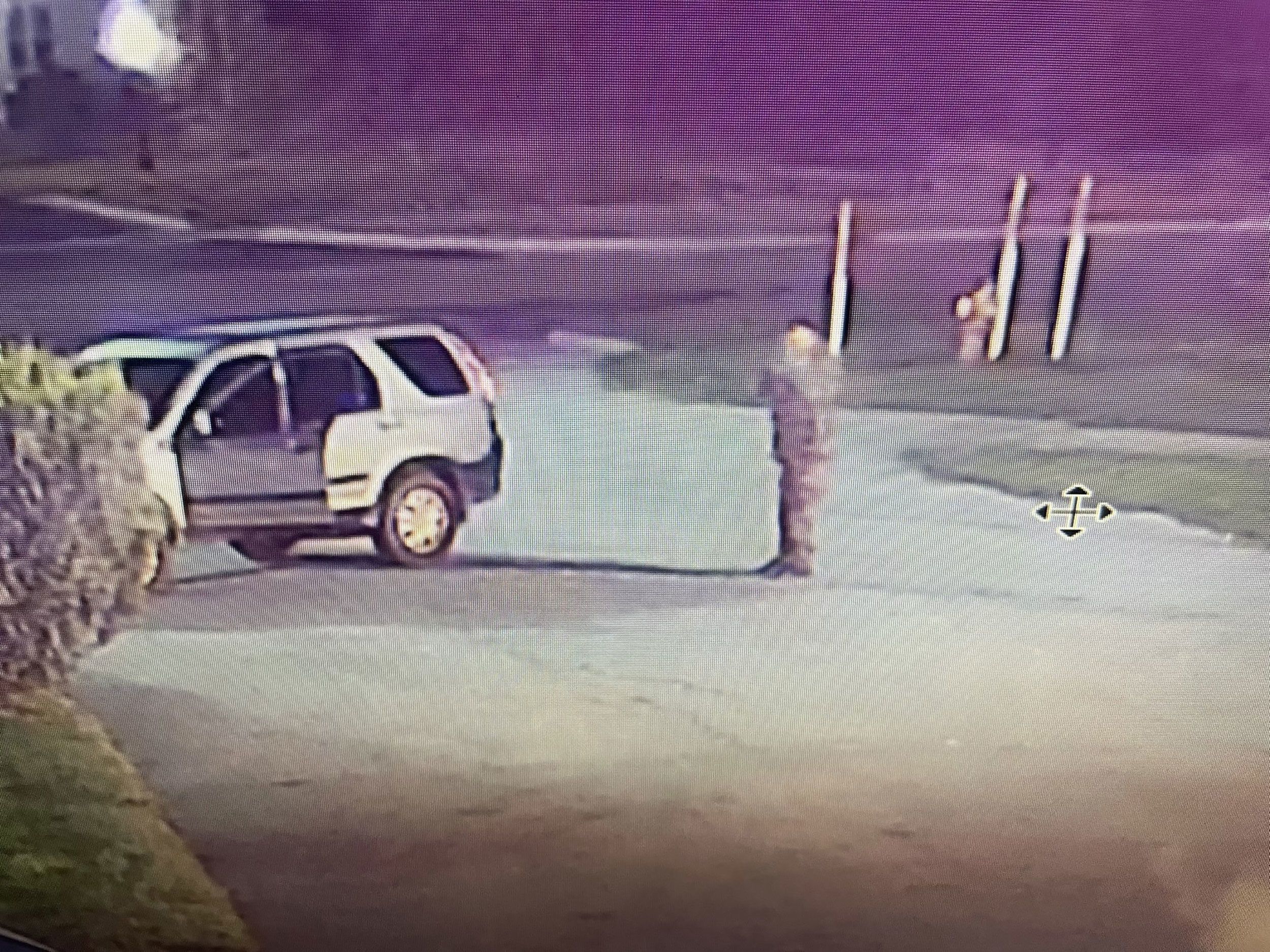 Michigan authorities search for ‘armed and dangerous’ man who set police vehicles on fire and ...