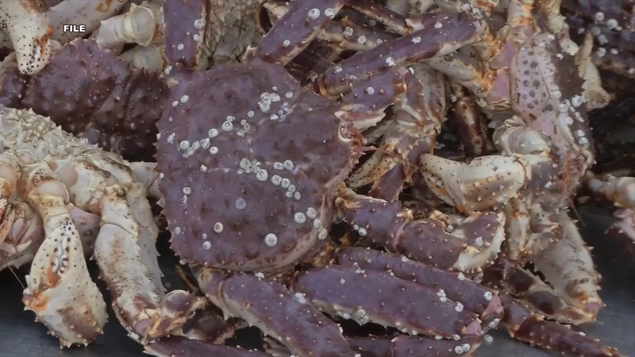 Billions of crabs went missing around Alaska. Scientists now know what happened to them - WSVN ...