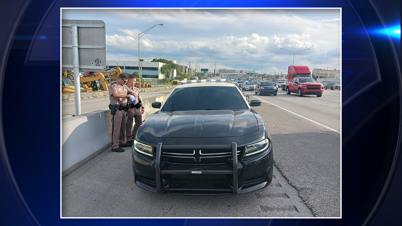 Authorities: Woman caught driving Charger resembling FHP cruiser says ...