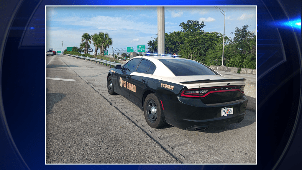 Authorities: Woman caught driving Charger resembling FHP cruiser says ...