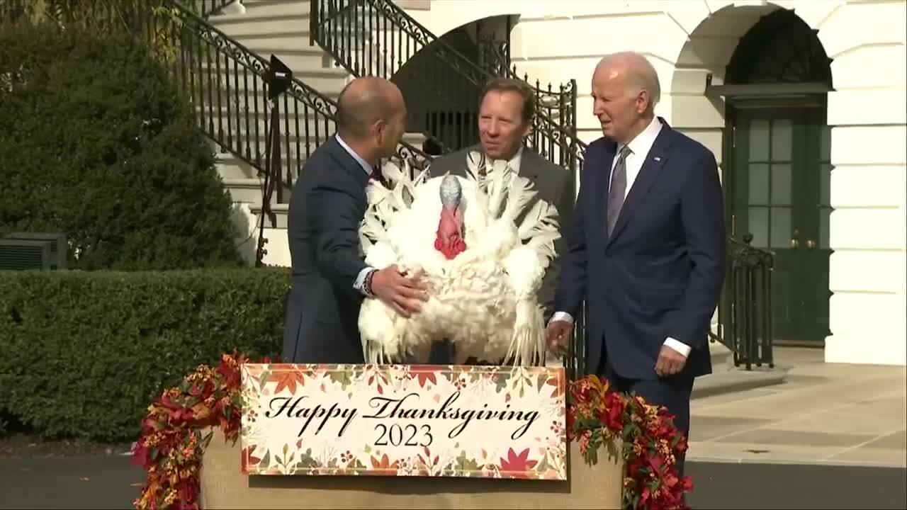 Biden pardons National Thanksgiving Turkeys while marking his 81st ...