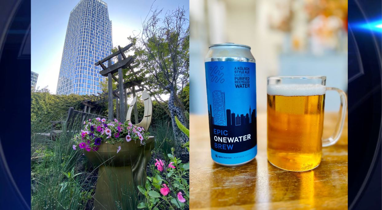 This beer is made from recycled shower water - WSVN 7News | Miami News ...