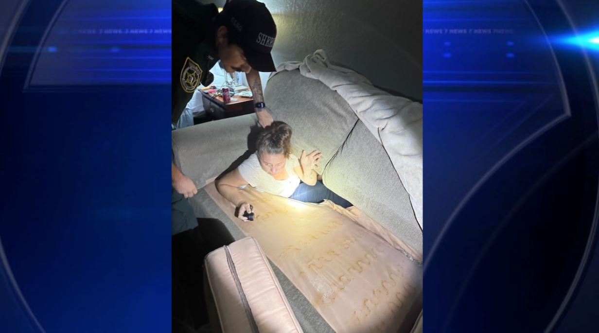 Sheriff: Wanted Florida woman found hiding under couch - WSVN 7News ...