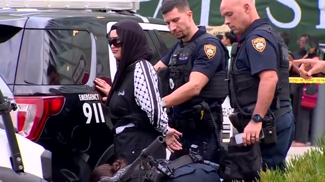 2 protesters arrested at pro-Palestine rally outside Miami Beach ...