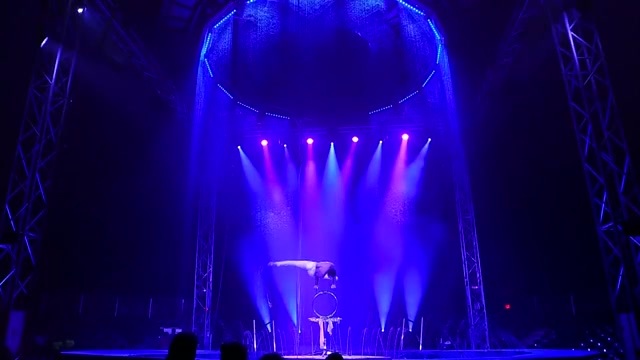 Cirque Italia Water Circus invites you to dive into a magical world ...