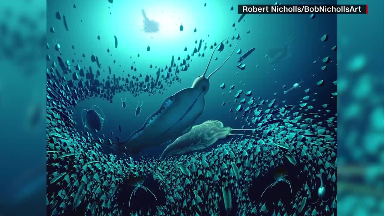 Newly discovered large predator worms ruled the seas as Earth’s ...