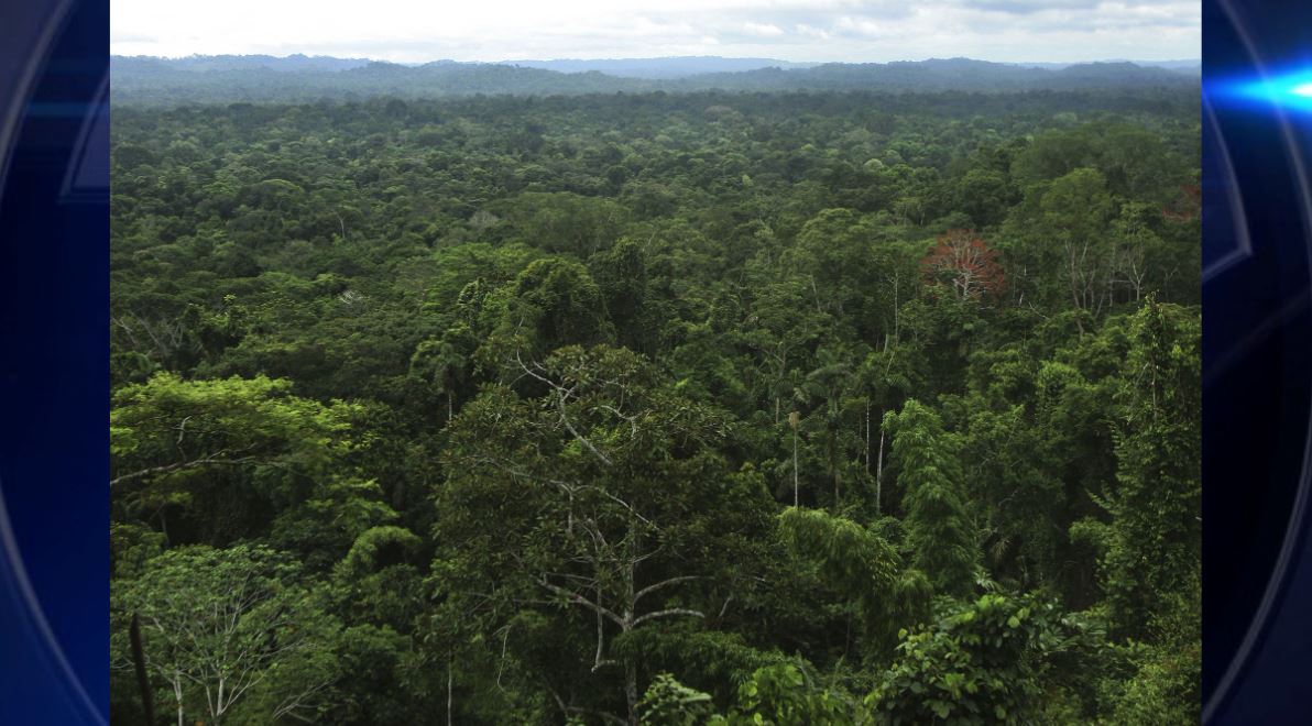 Huge network of ancient cities uncovered in the Amazon rainforest ...