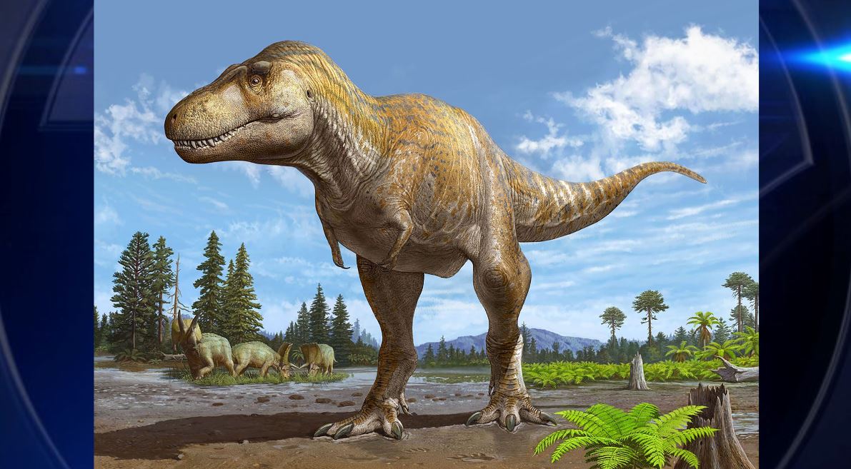 T. rex’s older and equally sizable relative discovered in New Mexico ...