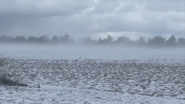 Brutally Cold Weather Expected To Hit Storm battered South And