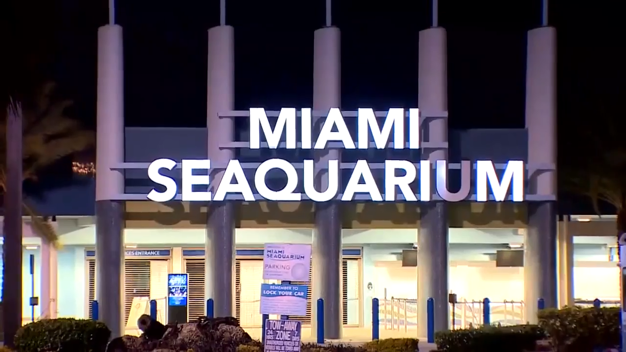Miami Seaquarium gets eviction notice several months after death of ...