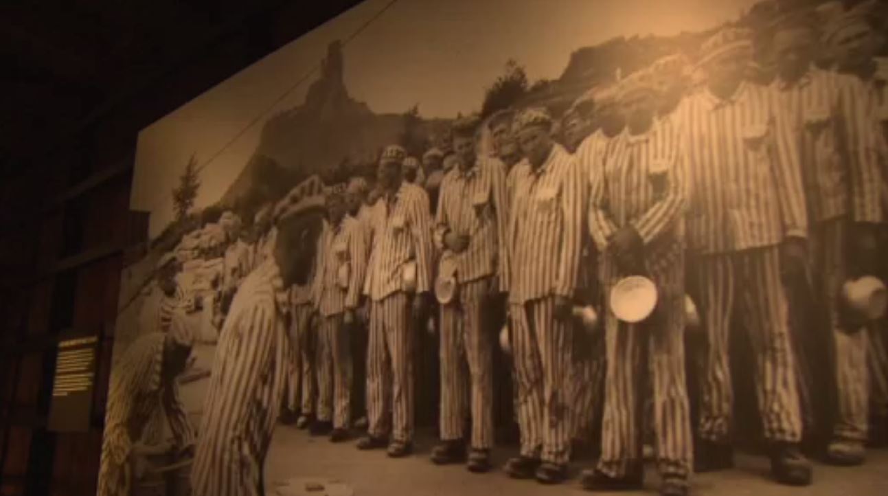 Nazi death camp survivors mark 79th anniversary of Auschwitz liberation ...