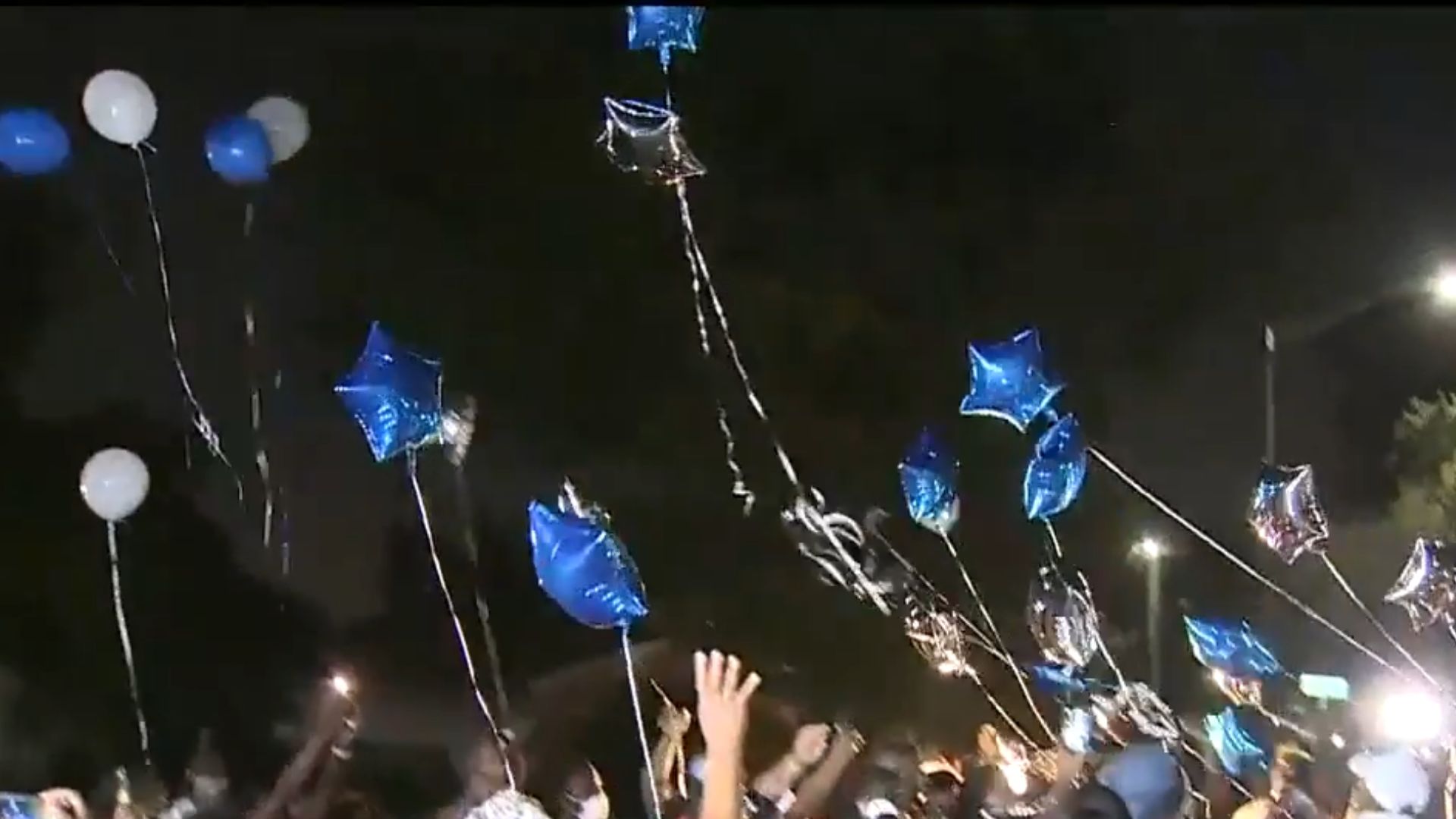 Florida’s balloon ban will protect sea turtles, birds and other marine ...